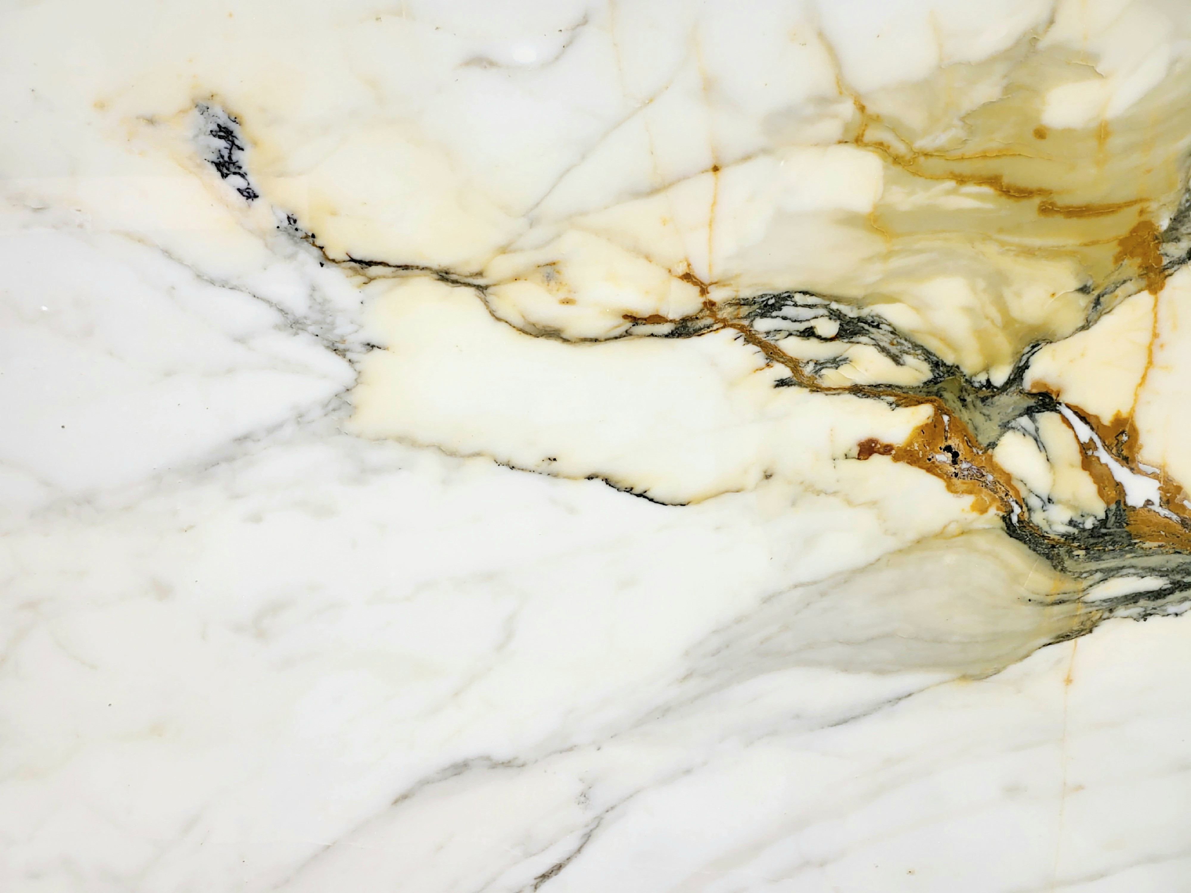 Top Exotic Marble Slabs Supplier & Dealer in Delhi India